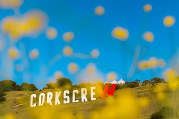 Team Penske | Multimedia